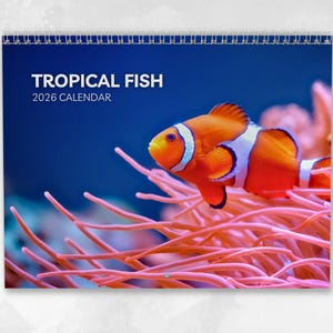 Tropical Fish Calendar 2026 - Etsy UK