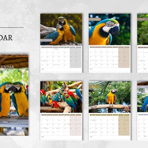 Parrot Calendar 2025: Monthly Wall Calendar With Notes, Hanging A4 Size ...