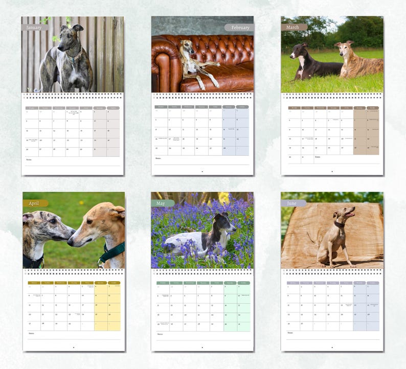 Greyhound Calendar 2026: Monthly Wall Calendar With Notes, Opens to A3 ...