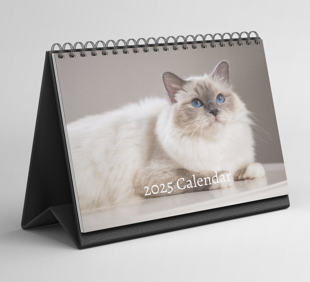 Birman Desk Calendar 2025-2026: Standing Flip Desktop Calendar With ...