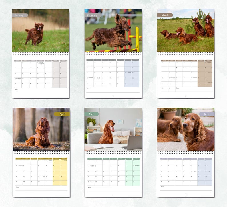 Irish Setter Calendar 2026: Monthly Wall Calendar With Notes, Opens to ...