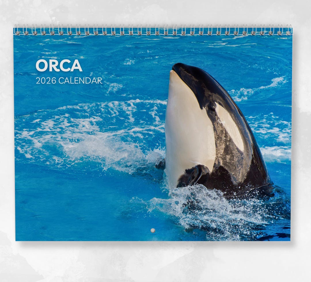 Orca Calendar 2026: Monthly Wall Calendar With Notes, Opens to A3 Size ...