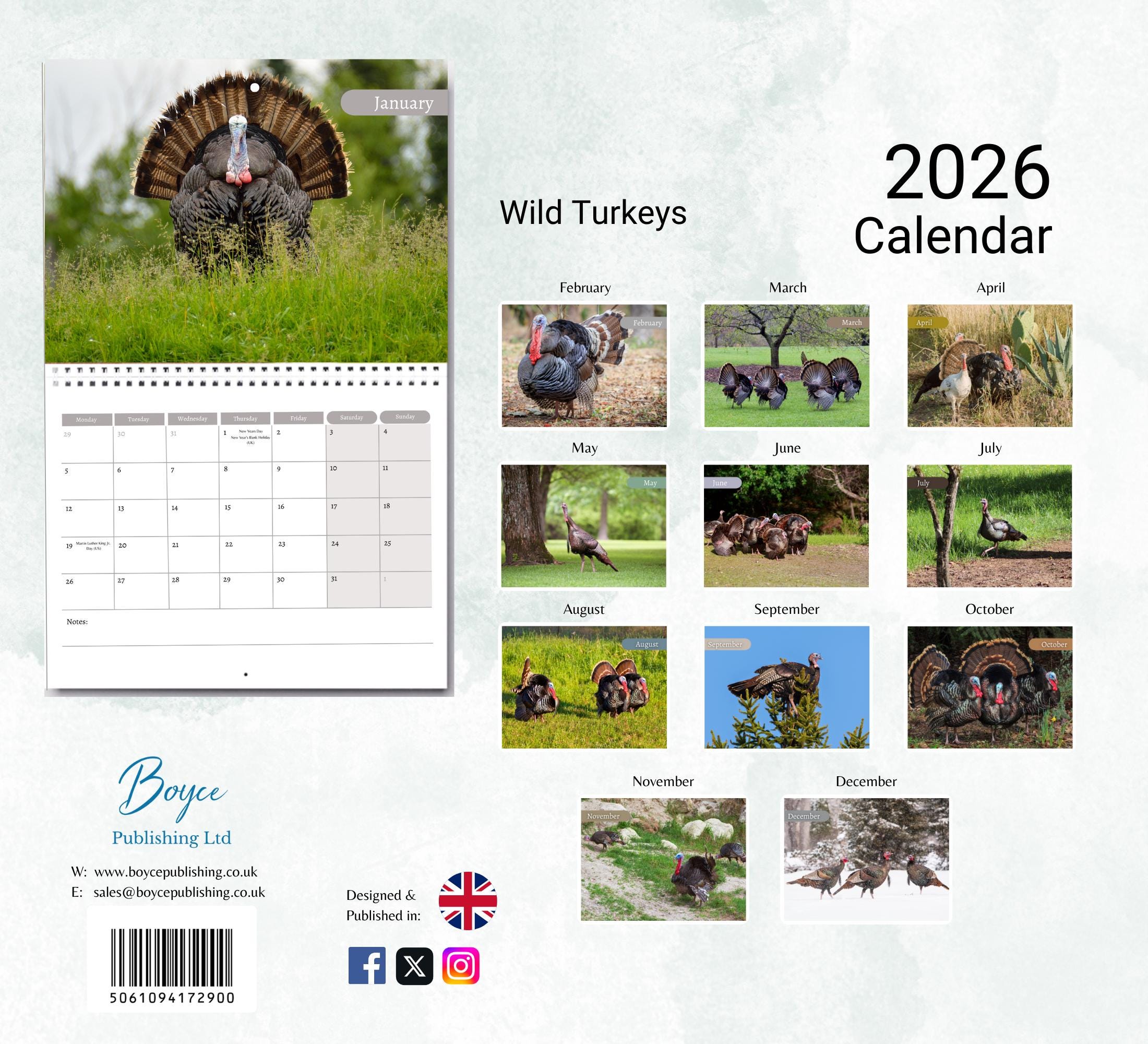 Wild Turkey Calendar 2026: Monthly Wall Calendar With Notes, Opens to ...
