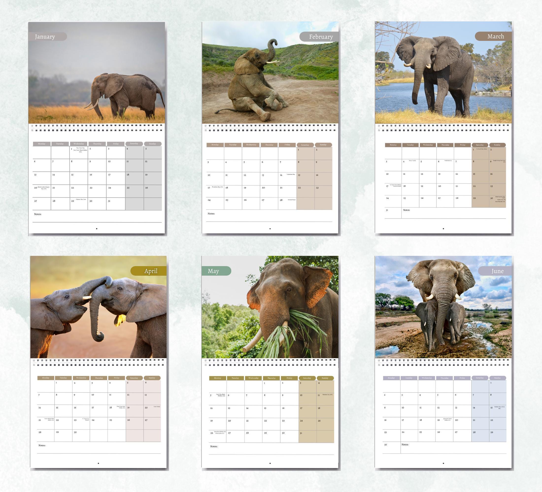 Elephant Calendar 2026: Monthly Wall Calendar With Notes, Opens to A3 ...