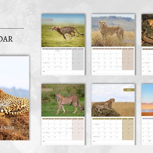 Cheetah Calendar 2025: Monthly Wall Calendar With Notes, Hanging A4 ...