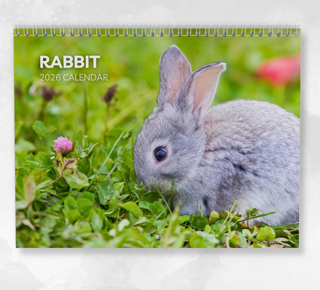 Rabbit Calendar 2026: Monthly Wall Calendar With Notes, Opens to A3 ...