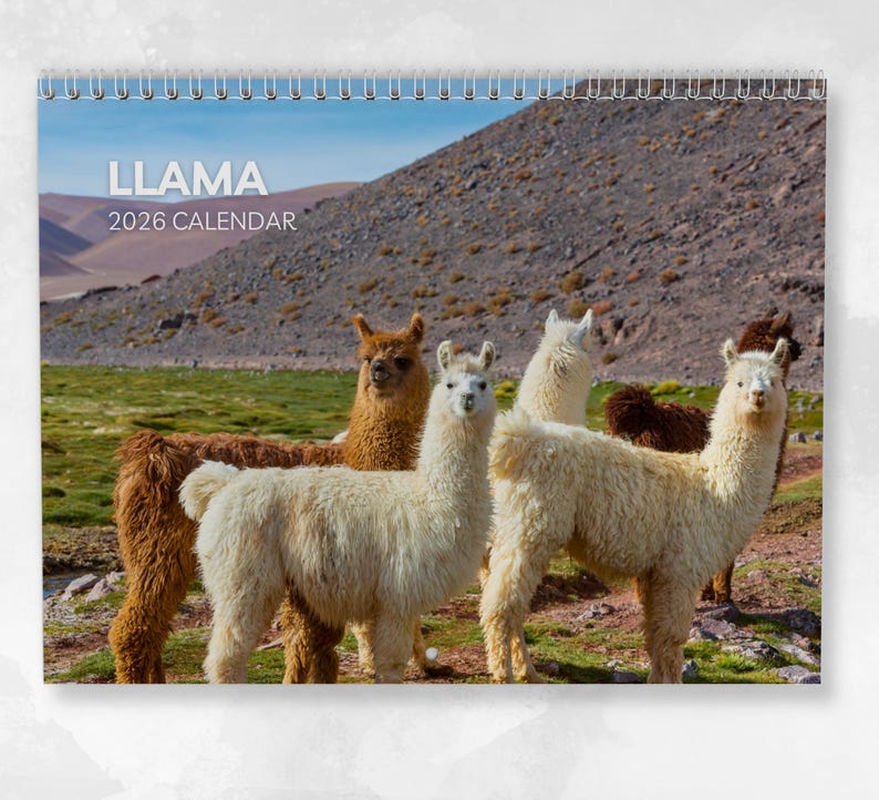Llama Calendar 2026: Monthly Wall Calendar With Notes, Opens to A3 Size ...