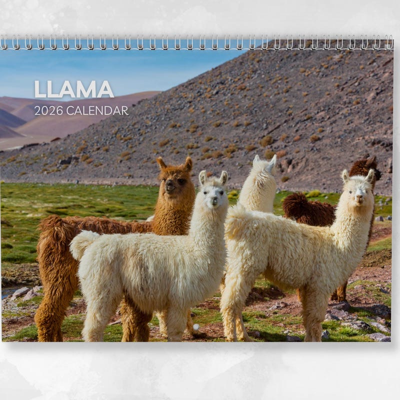 Llama Alpaca Calendar - Etsy UK