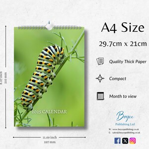 Caterpillar Calendar 2025: Monthly Wall Calendar With Notes, Hanging A4 ...
