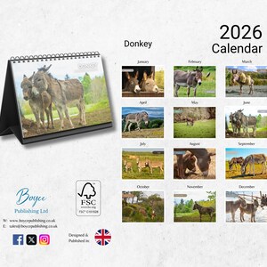 Donkey Desk Calendar 2026-2027: Standing Flip Desktop Calendar With ...