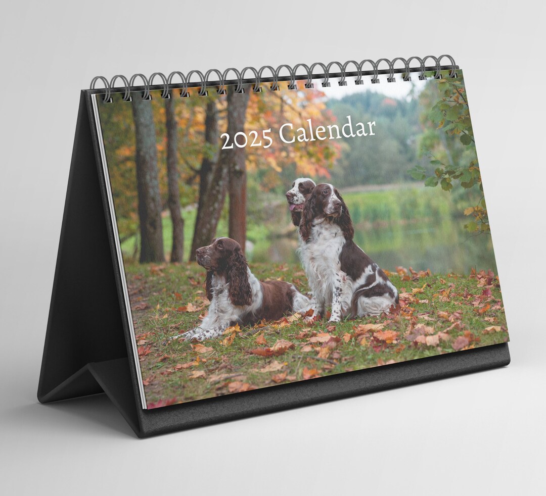 English Springer Spaniel Desk Calendar 2025-2026: Standing Flip Desktop ...