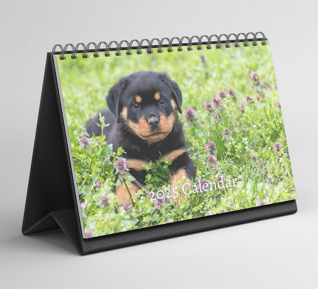 Rottweiler Puppies Desk Calendar 2025-2026: Standing Flip Desktop ...