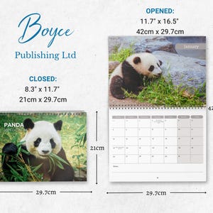 Panda Calendar 2026: Monthly Wall Calendar With Notes, Opens to A3 Size ...