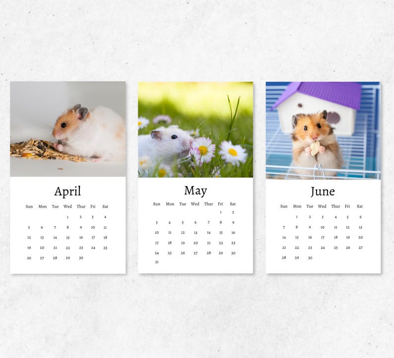 Hamster Calendar 2027: Mini Desk Calendar, Hamster Calendar 2027-2028 ...