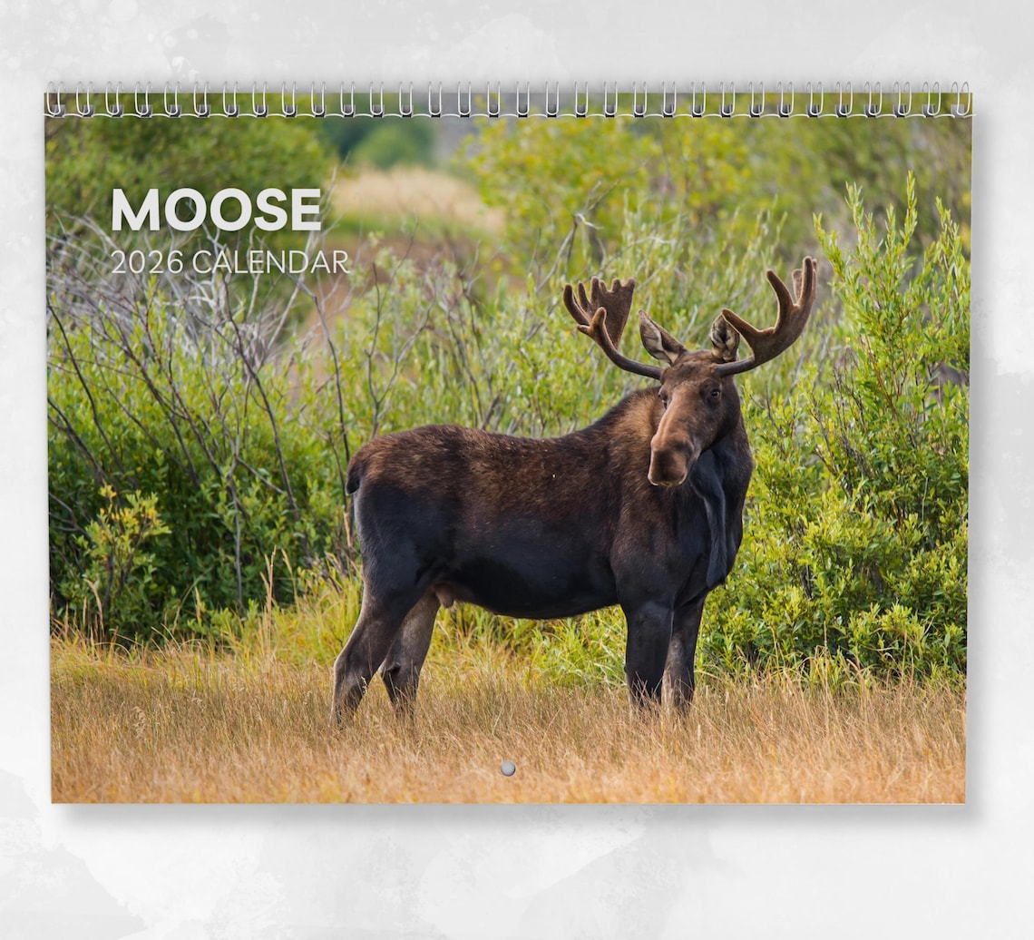 Moose Calendar 2026: Monthly Wall Calendar With Notes, Opens to A3 Size ...