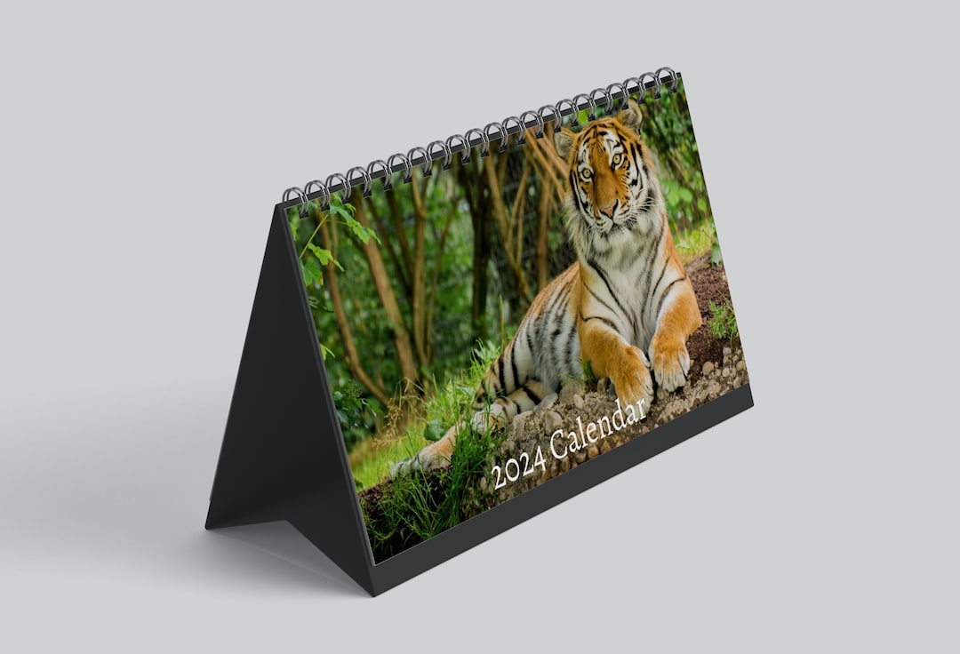 Tiger Desk Calendar 2024 Desktop Calendar Tiger Calendar - Etsy