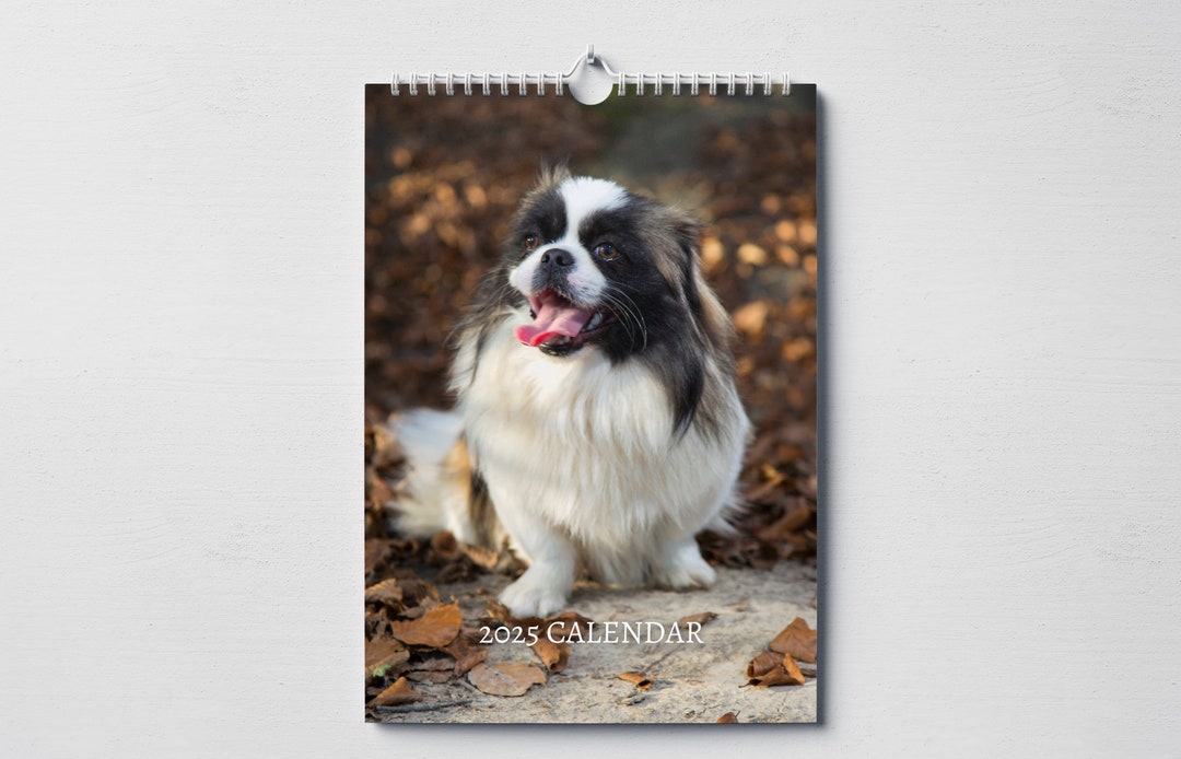 Pekingese Calendar 2025: Monthly Wall Calendar With Notes, Hanging A4 ...