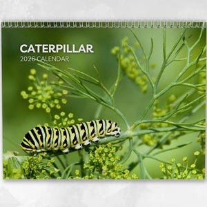 Caterpillar Calendar 2026: Monthly Wall Calendar With Notes, Opens to ...