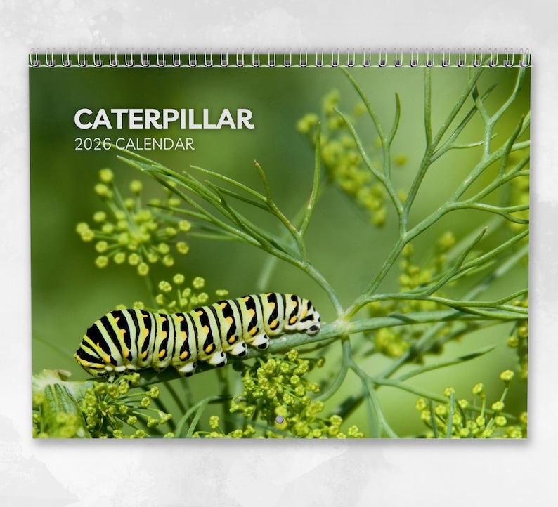Caterpillar Calendar 2026: Monthly Wall Calendar With Notes, Opens to ...