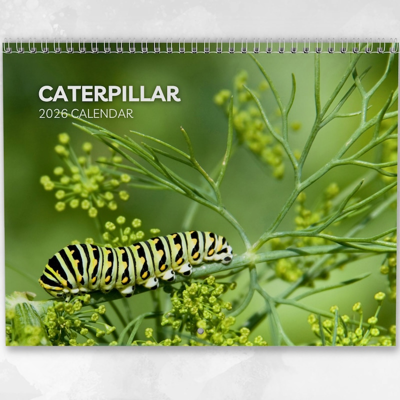 Caterpillar Retiree 2026 Free Calendar - Etsy Canada
