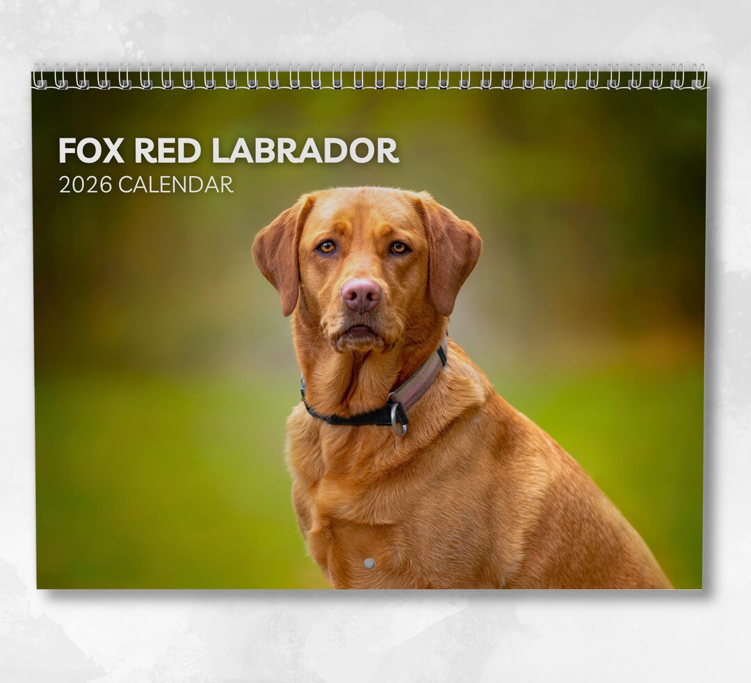 Fox Red Labrador Calendar 2026: Monthly Wall Calendar With Notes, Opens ...