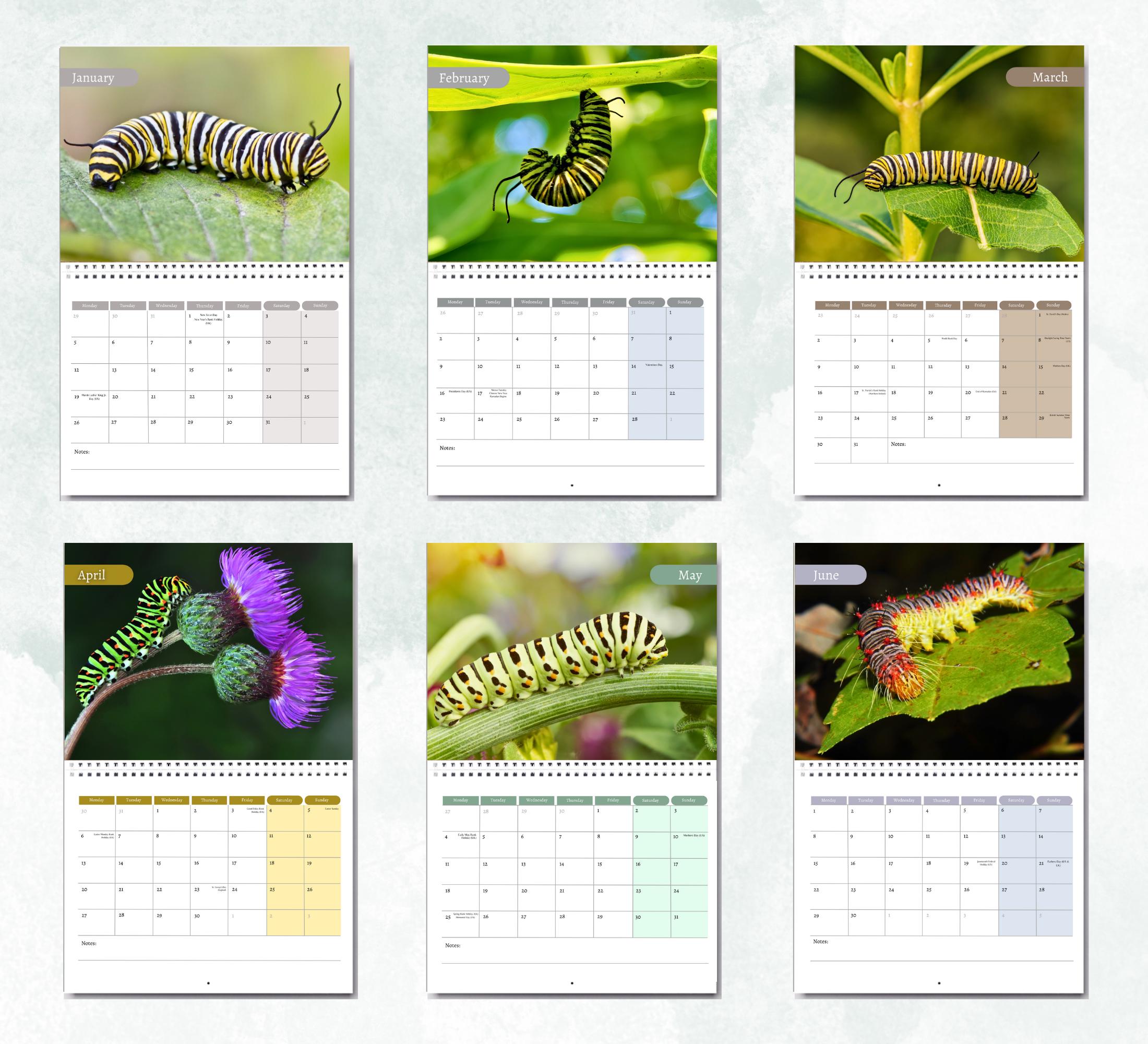 Caterpillar Calendar 2026: Monthly Wall Calendar With Notes, Opens to ...