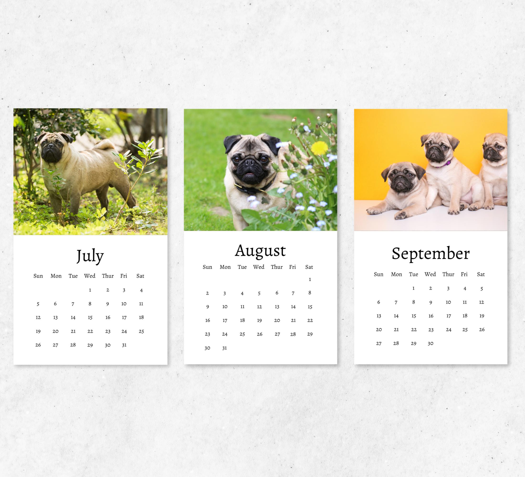 Pug Calendar 2026: Mini Desk Calendar, Pug Calendar 2026-2027, Perfect ...