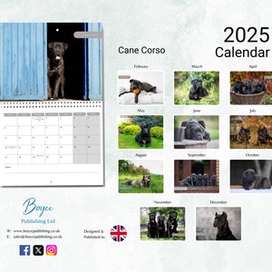 Cane Corso Calendar 2025: Monthly Wall Calendar With Notes, Opens to A3 ...