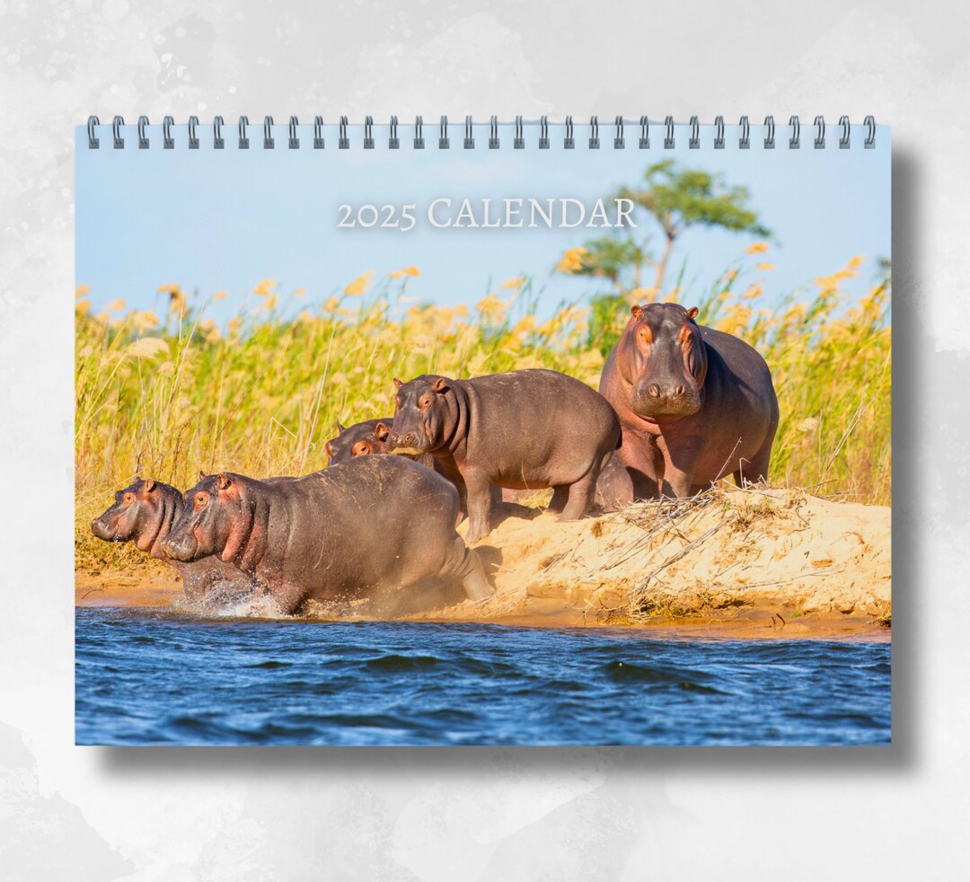 Hippo Calendar 2025: Monthly Wall Calendar With Notes, Opens to A3 Size ...