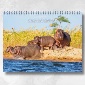 Hippo Calendar 2025: Monthly Wall Calendar With Notes, Opens to A3 Size ...