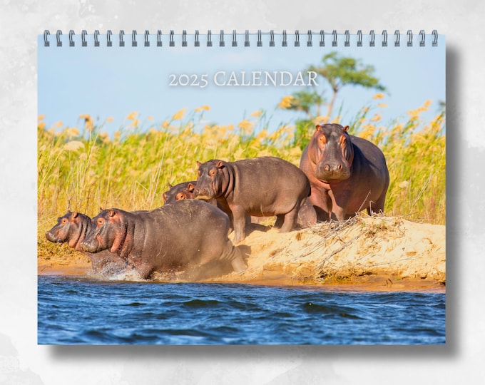 Hippo Calendar 2025: Monthly Wall Calendar With Notes, Opens to A3 Size ...
