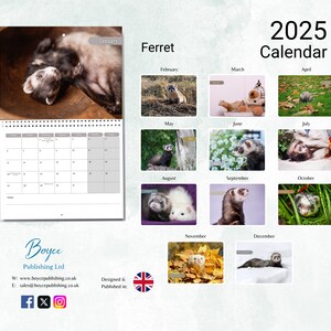 Ferret Calendar 2025: Monthly Wall Calendar, A4 | Hanging Calendar ...
