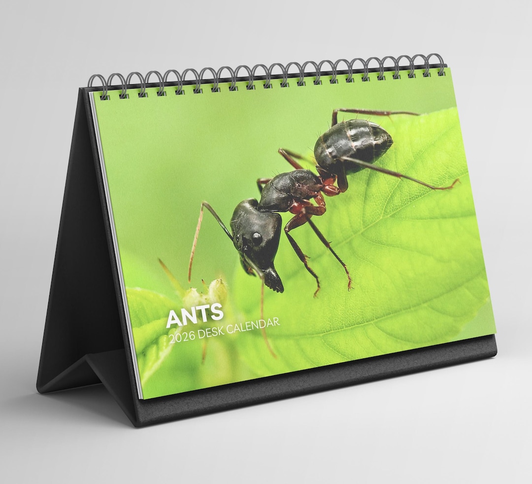 Ants Desk Calendar 2026-2027: Standing Flip Desktop Calendar With Thick ...