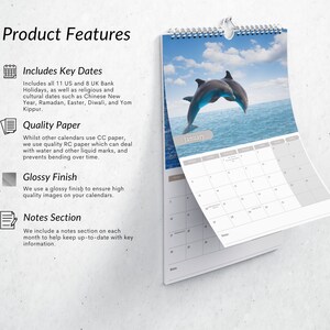 Dolphin Calendar 2025: Monthly Wall Calendar With Notes, Hanging A4 ...