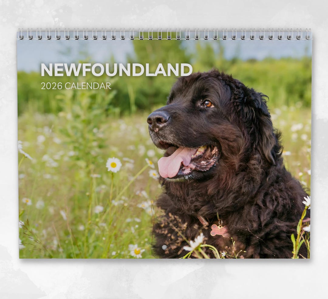 Newfoundland Calendar 2026: Monthly Wall Calendar With Notes, Opens to ...