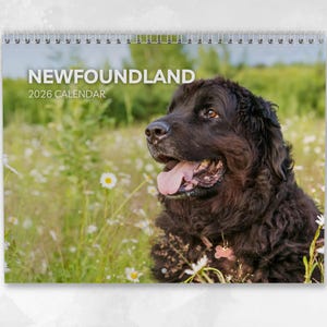 Newfoundland Calendar 2026: Monthly Wall Calendar With Notes, Opens to ...