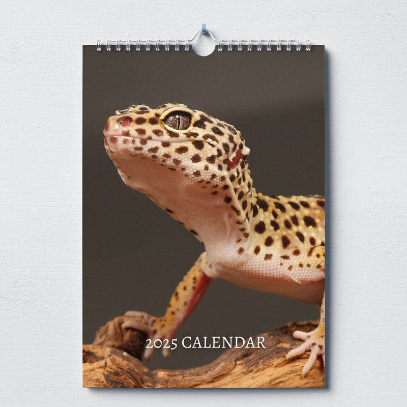 Gecko Wall Hanging - Etsy