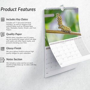 Caterpillar Calendar 2025: Monthly Wall Calendar With Notes, Hanging A4 ...