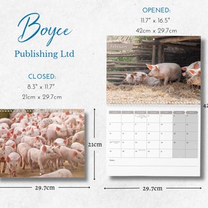 Pigs Calendar 2025: Monthly Wall Calendar With Notes, Opens to A3 Size ...