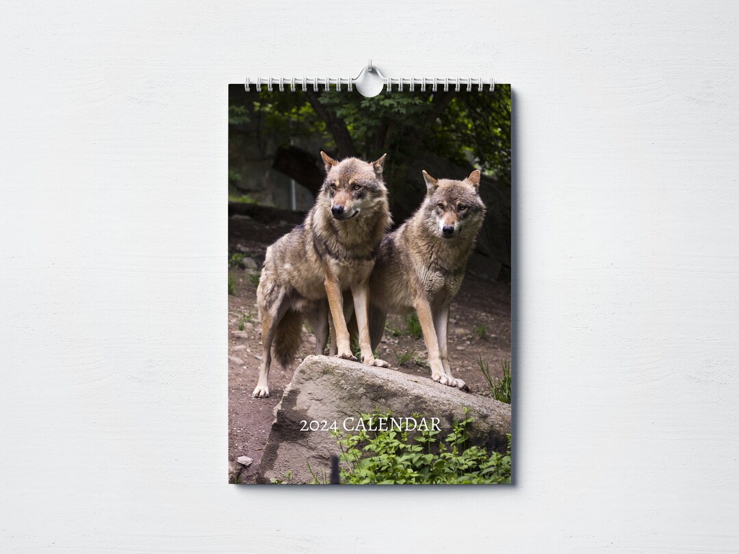 Wolf Calendar 2024 Monthly Wall Calendar, A4 Hanging Calendar Perfect ...