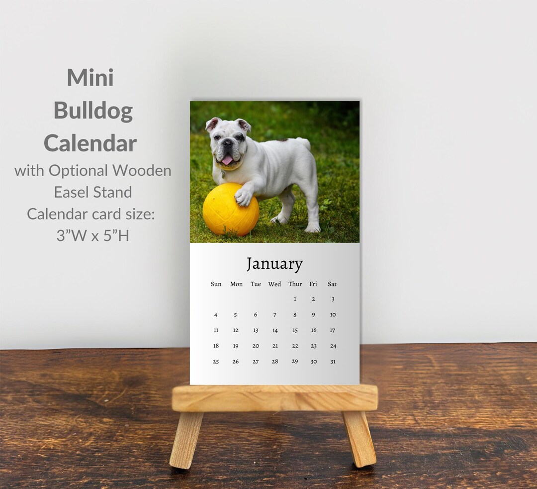 Bulldog Calendar 2026: Mini Desk Calendar, Bulldog Calendar 2026-2027 ...