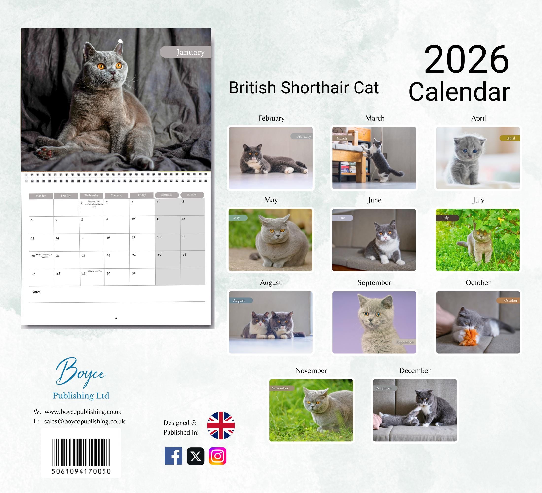 British Shorthair Cat Calendar 2026: Monthly Wall Calendar With Notes ...