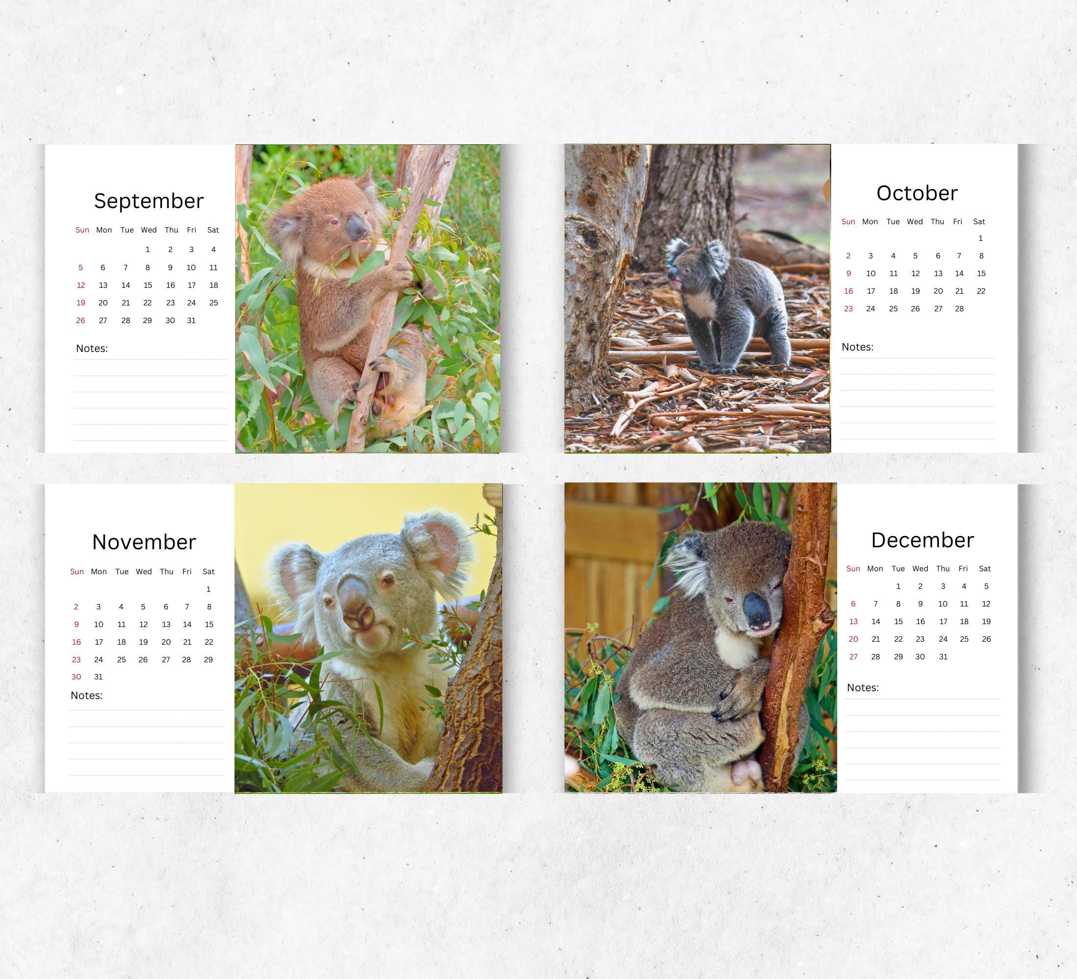 Koala Desk Calendar 2026-2027: Standing Flip Desktop Calendar With ...