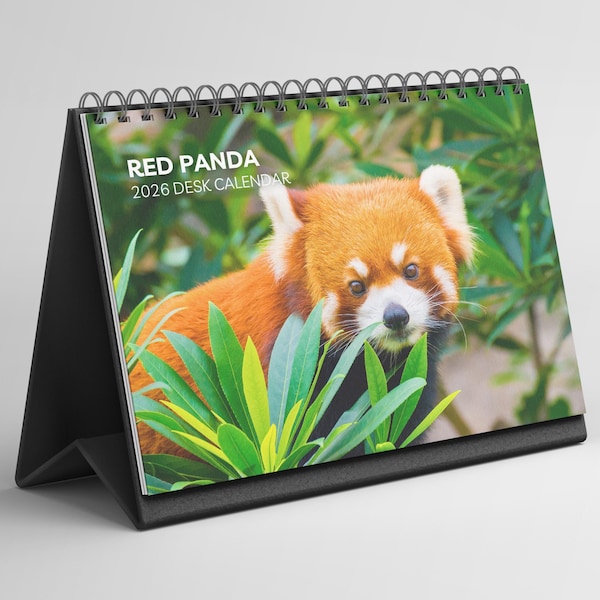 Red Panda for a Desk - Etsy UK