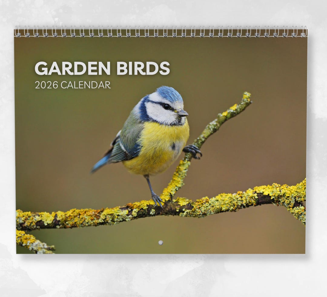 Garden Birds Calendar 2026: Monthly Wall Calendar With Notes, Opens to ...