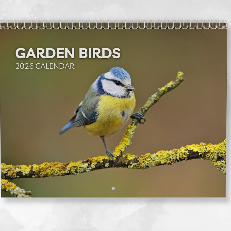 Birds 2026 Calendar - Etsy UK