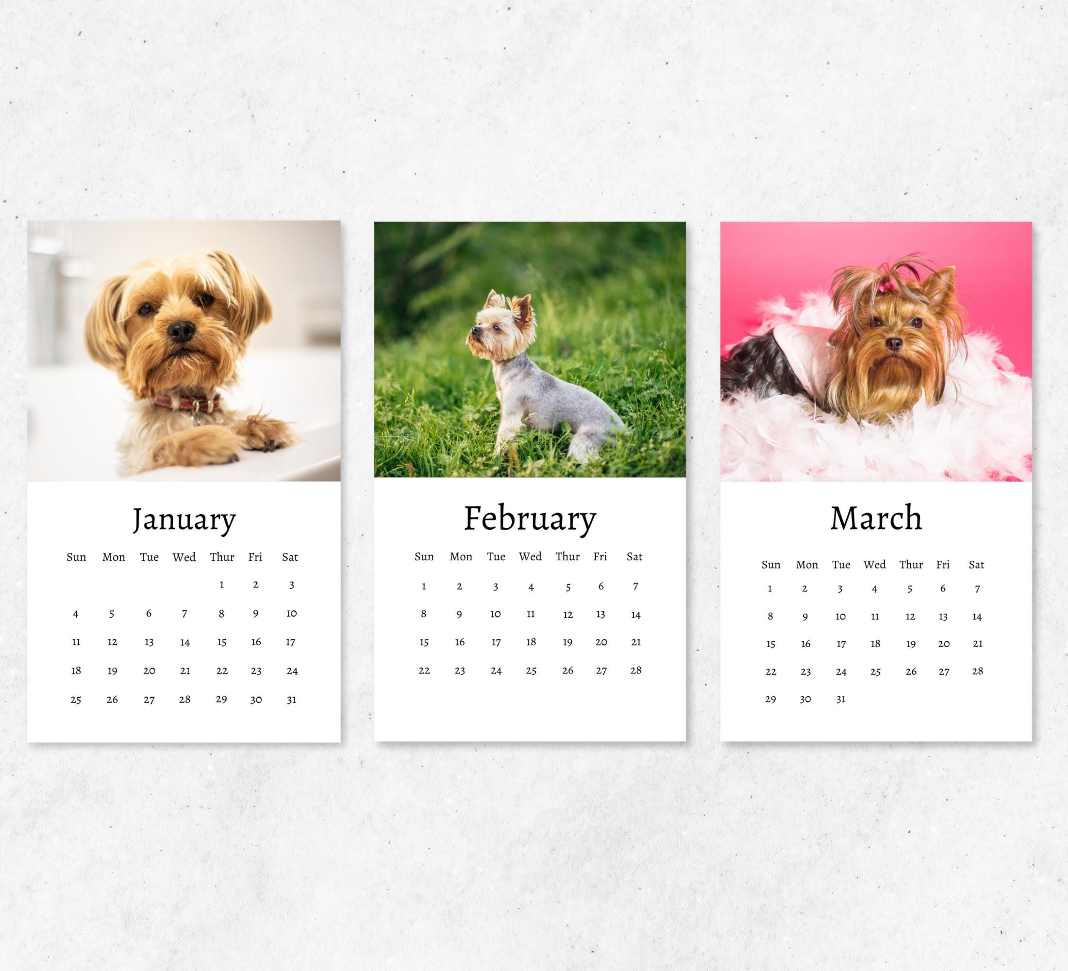 Yorkshire Terrier Calendar 2026: Mini Desk Calendar, Yorkshire Terrier ...
