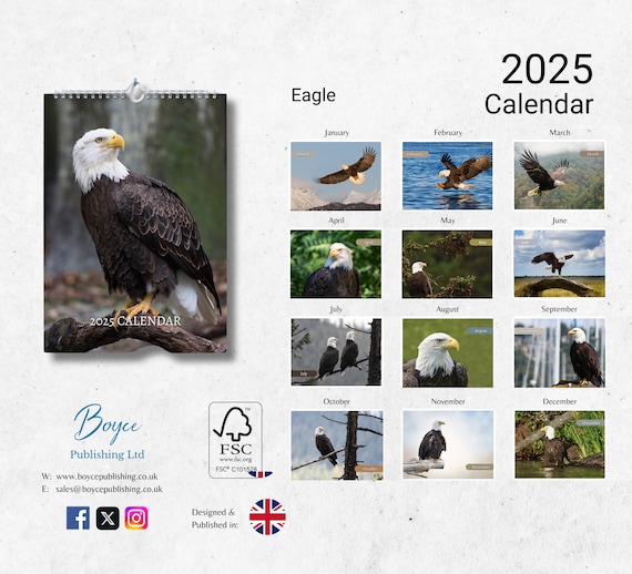 American Bald Eagle Calendar Hooray! The 2022 Calendar Is Available!!!