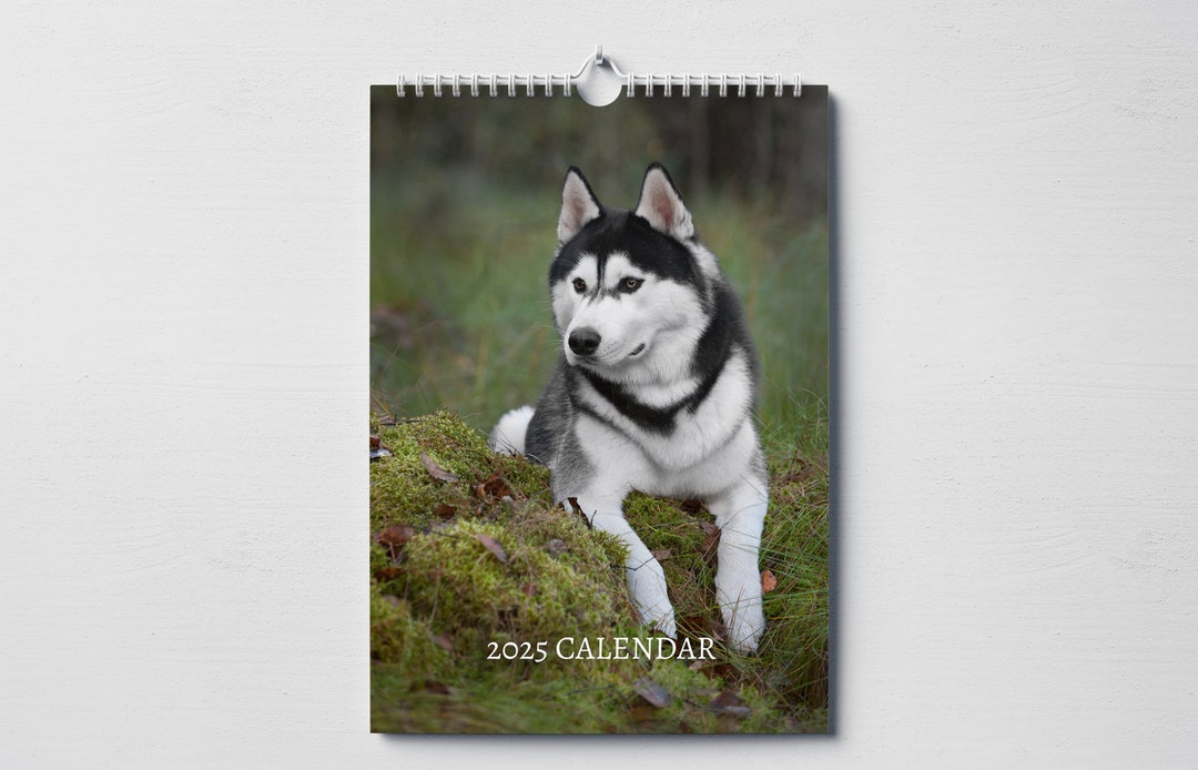 Siberian Husky Calendar 2025: Monthly Wall Calendar With Notes, Hanging ...