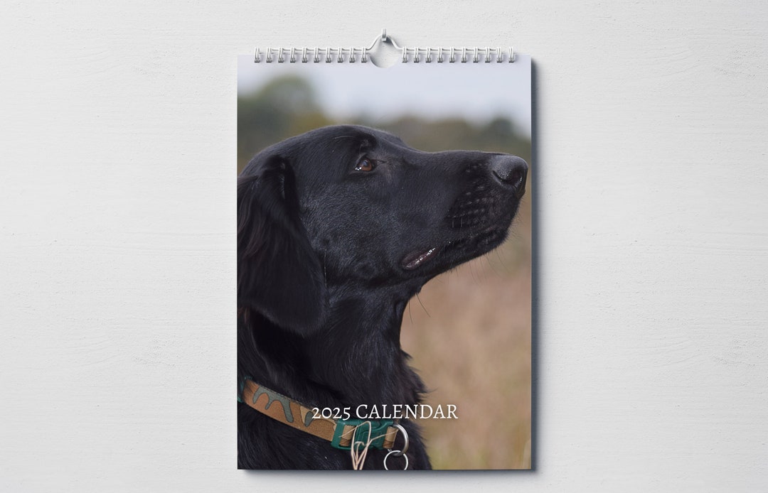 Flat Coated Retriever Calendar 2025: Monthly Wall Calendar With Notes ...